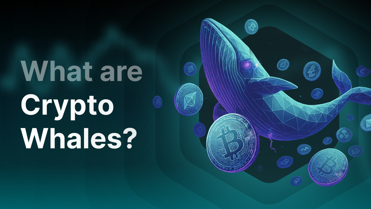 What Are Crypto Whales? | Crypto Academy